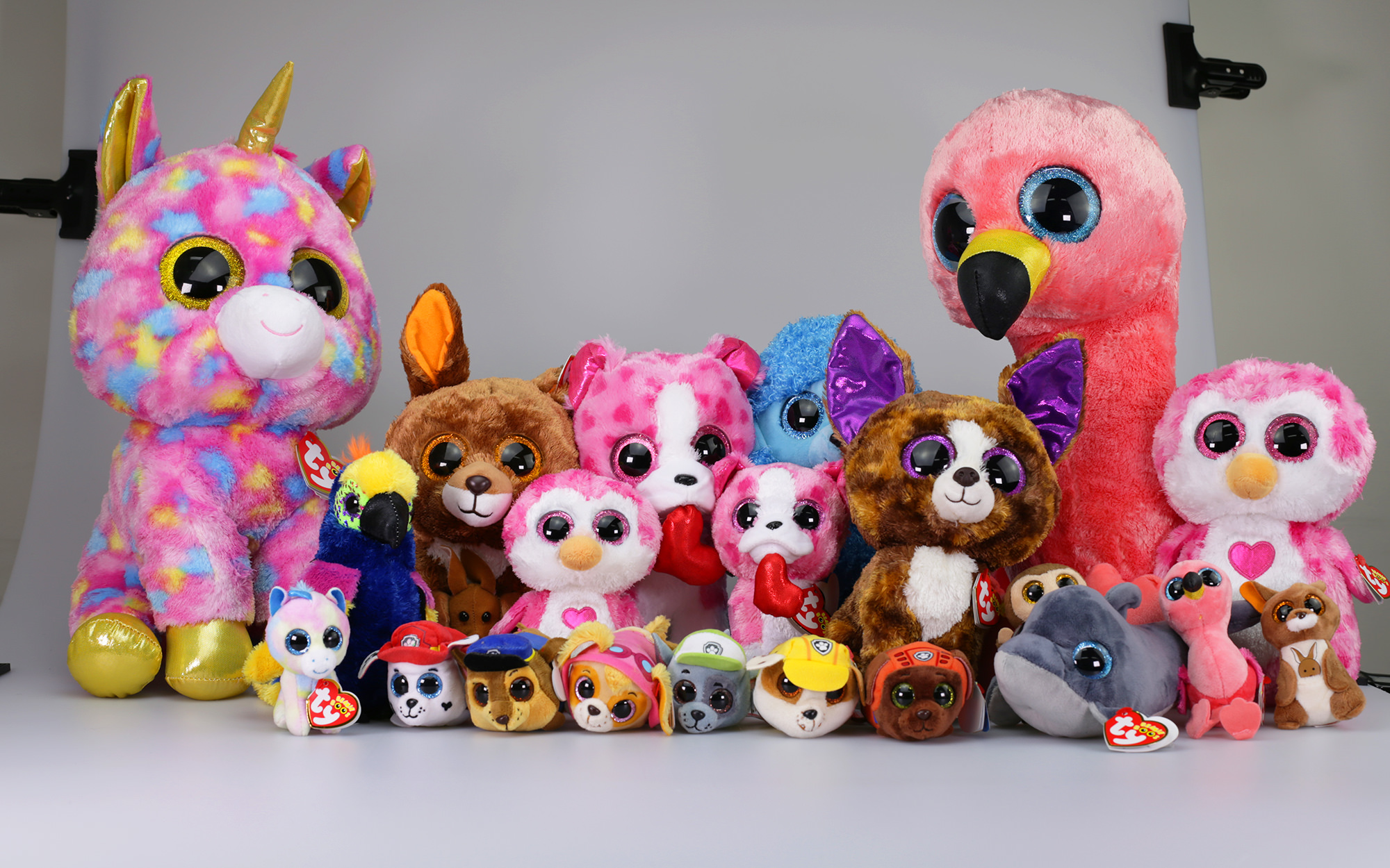 New Beanie Boos out now | newsXpress Blog