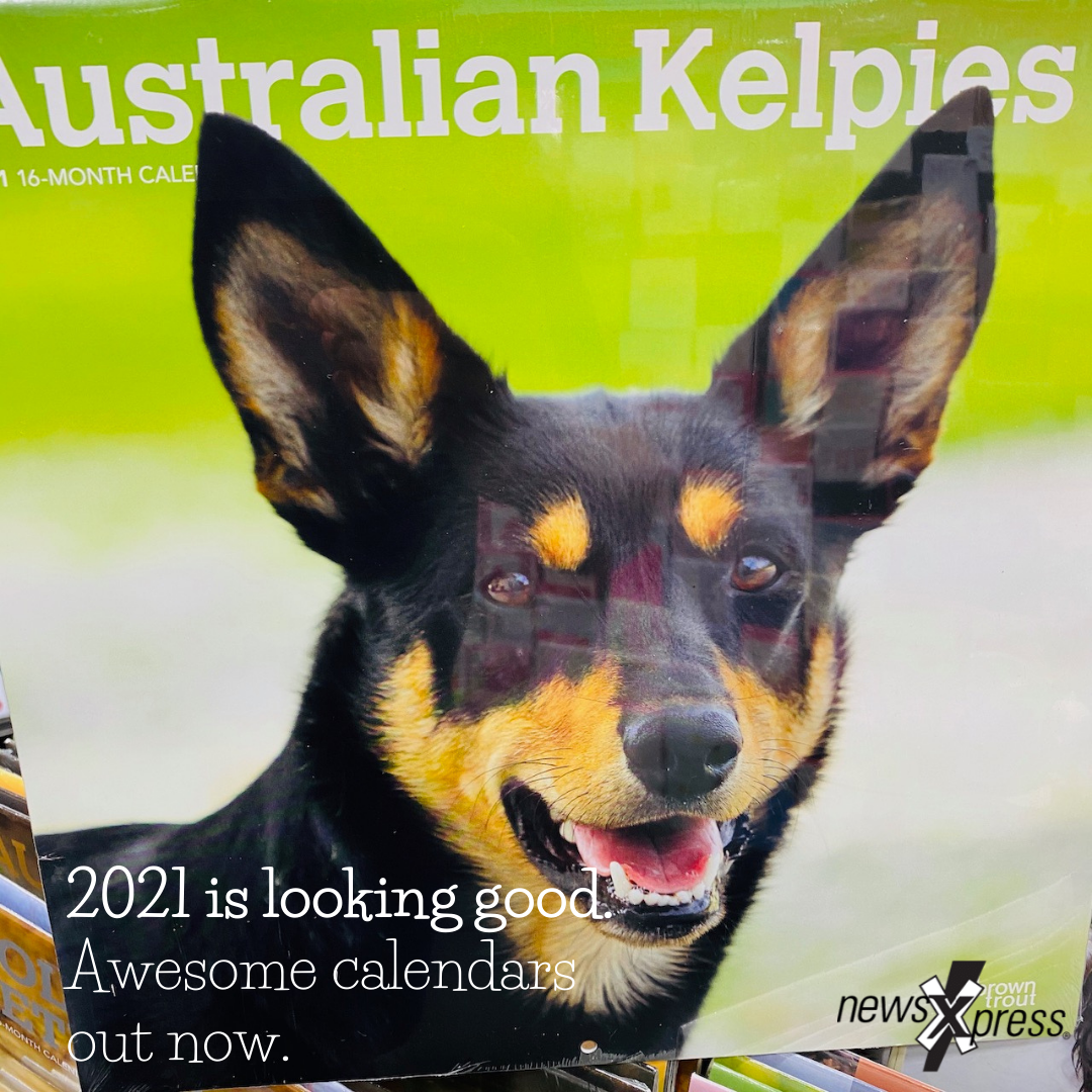 28 Oct 2020 | newsXpress Blog