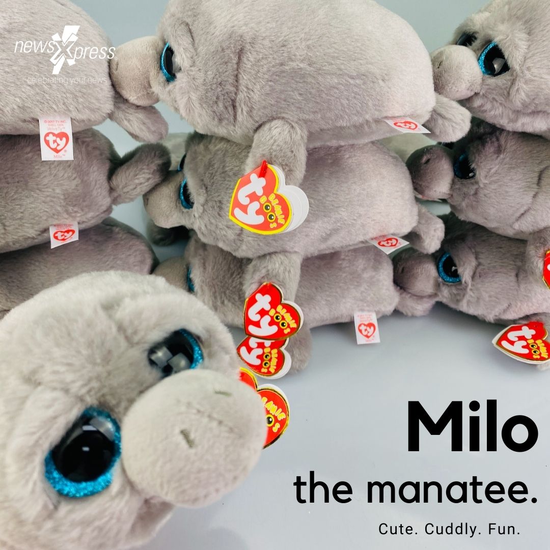Manatees are fun | newsXpress Blog