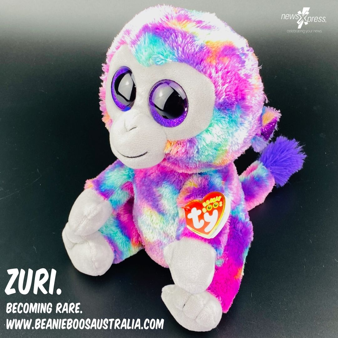 Zuri – the cheeky monkey… | newsXpress Blog