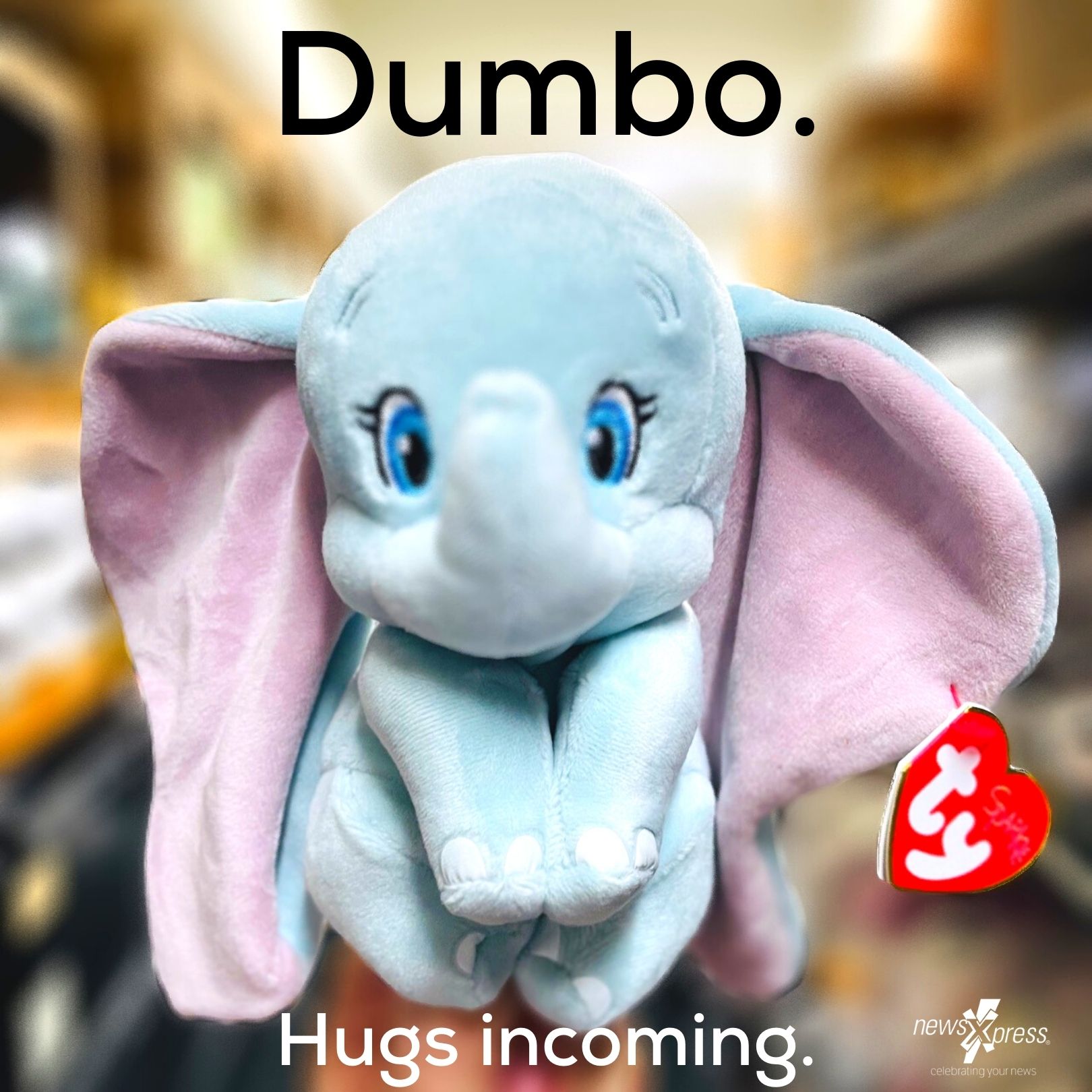 Dumbo! EXCLUSIVE! | newsXpress Blog
